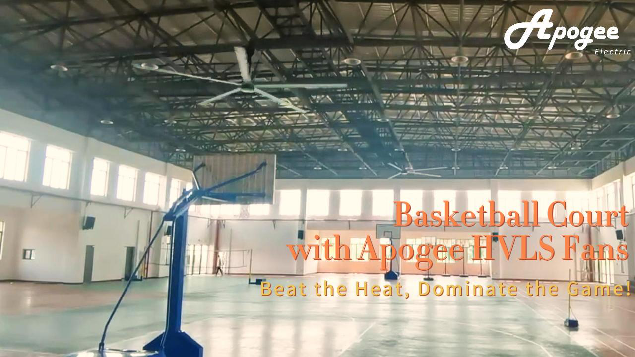 CE and RoHS Vietnam HVLS Fan Big Ceiling Fan for Basketball Court with ...